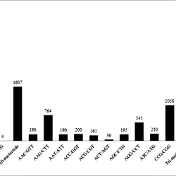 Summary of the SSR types in the transcriptome.