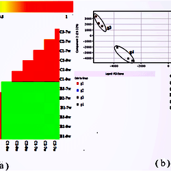 Global microarray data analysis.