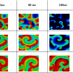 Illustration of the time evolution of the three wave-types in the ORd ...