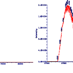Mass spectrograms of BSA and CIT-BSA conjugate.