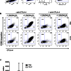 Transendocytic function of CTLA-4 is promoted by 1,25(OH)2D3 and ...