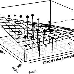 Plot showing the interaction between bifacial point stratigraphic layer ...