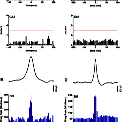 Perievent Time Histogram and z-scores of multiunit activity in the ...