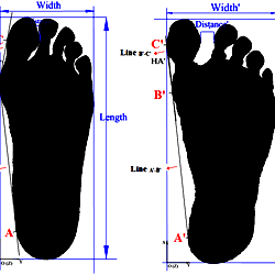 2D foot print image of habitually shod (left) and unshod (right) runners.
