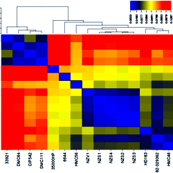 Whole-genome heat map showing the pairwise genome conservation ...