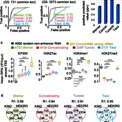 cheRNA prediction using the four pipelines in the K562 cell line.