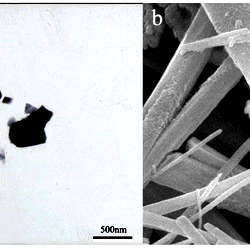 (a)TEM image of as-prepared Ce(OH)CO3 precursors and (b) SEM image of ...