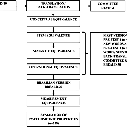 Flow chart of the cross-cultural validation steps.