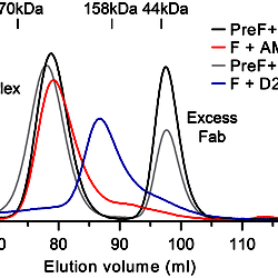 AM14 stabilizes RSV F trimer in the absence of the foldon trimerization ...