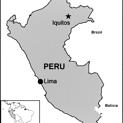 Map of Peru indicating the study site of Iquitos in the Peruvian Amazon ...
