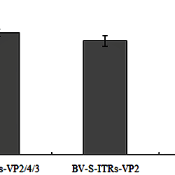 The relative expressed intensity of VP2 protein.
