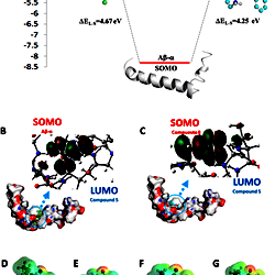 Spatial distribution of SOMO on Aβ-α.