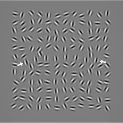 Target stimulus example.