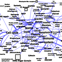 Map of connections between communities of hidden protein connections ...