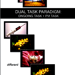Schematic illustration of the Dual-Task paradigm.