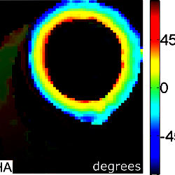 Example of Helical Angle (HA) map.