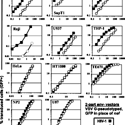 SIVMAC transduction of human blood-derived cell lines is less efficient ...