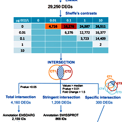 Flowchart of the workflow of the microarray analysis methodology and ...