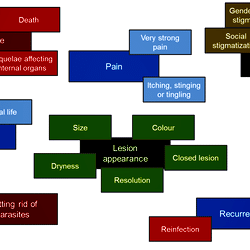 Reported outcome domains and outcomes by recommendations.