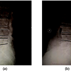 Tracking results of the KLT algorithm.