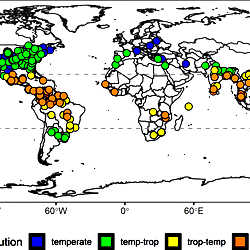 Distribution of freshwater turtle studies.