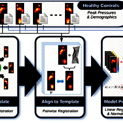 Flow chart of statistical modelling workflow.