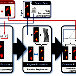 Flow chart of statistical testing workflow.