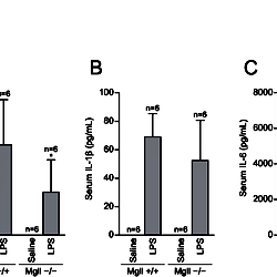 Serum cytokines after LPS administration.
