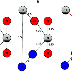 An example of the MST.