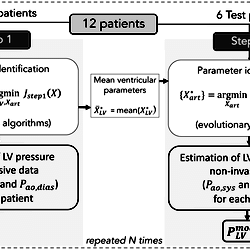 Two steps of the identification process.