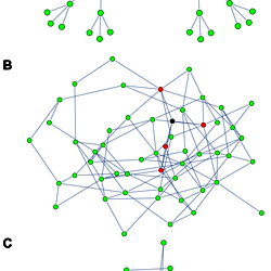Failures in sample networks with N = 53 and z = 4: Cayley tree (Fig 2a ...