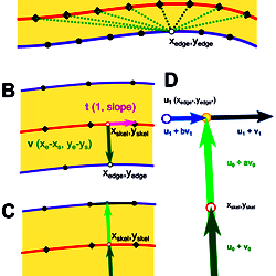Diagram showing relationship between line edge points, skeleton points ...