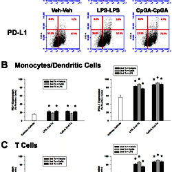 Splenocyte membrane expressions of both PD-1 and PD-L1 increase ...