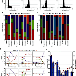 Validation of image analysis protocol.
