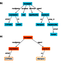 Example of a dependency graph for a Medline 2013 sentence.