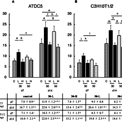GAG production of ATDC5 and C3H10T1/2 cell lines.