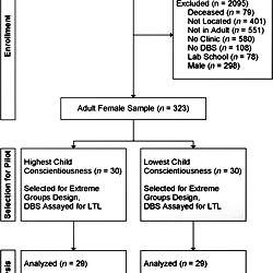 Eligibility and selection of the pilot sample.