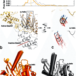 Direction of displacement of the AH-domain.