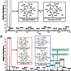 Identification of 5,6[PP]2-InsP4 and InsP6 by HPLC-MS.