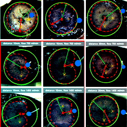 Demonstration of the heat sink effect in hepatic microwave ablation ...