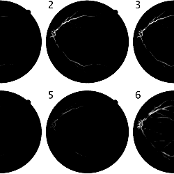 Dominant Zernike Moment feature maps (first five images) and summation ...