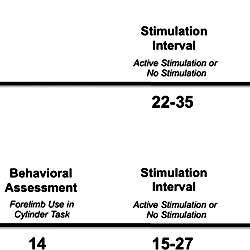 Experimental overview for EP DBS.