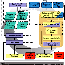 Workflow of the modeling framework showing data sources, model input ...