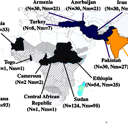 Worldwide samples distribution per country.