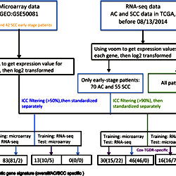 Study schema.