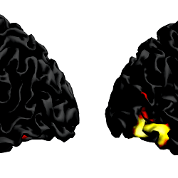 Source-level analysis.