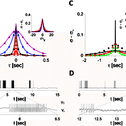 The two mechanisms for asynchronous chaos in two-population LIF spiking ...