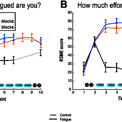 Example choice functions.