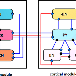 Schematic diagram of the modified TCT model presented in this work.