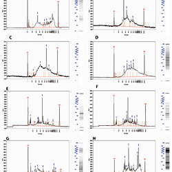 Analysis of the cDNA, digested cDNA, and RARseq libraries using ...